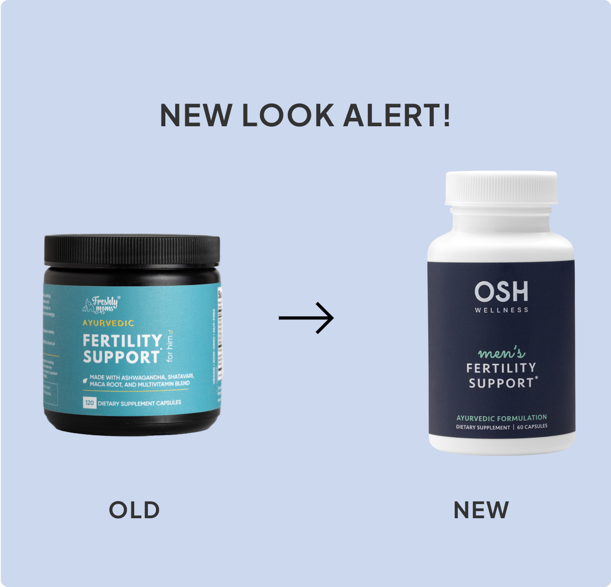 Men's Fertility Support | Fertility Supplement for Him