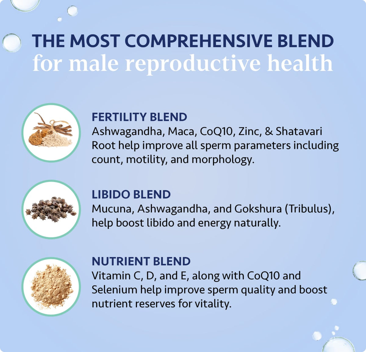 Men's Fertility Support | Fertility Supplement for Him